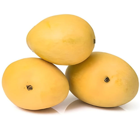 Banganapalli (Box) – Nuzividu Mangoes USA